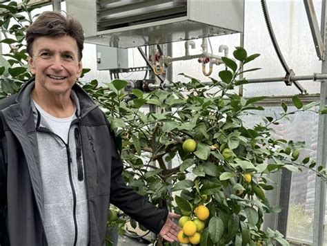 Click Here To Go To This Photo