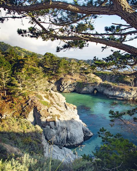 Point Lobos Attractions 60 Photos