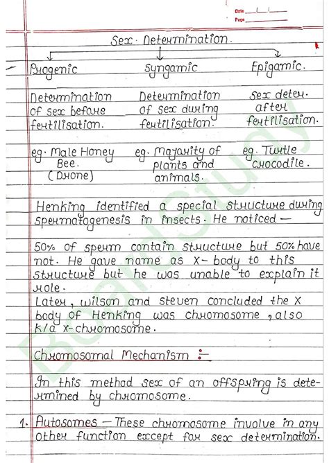 Ncert Class 12 Biology Principles Of Inheritance And Variation Notes Handwritten Notes And Pdf