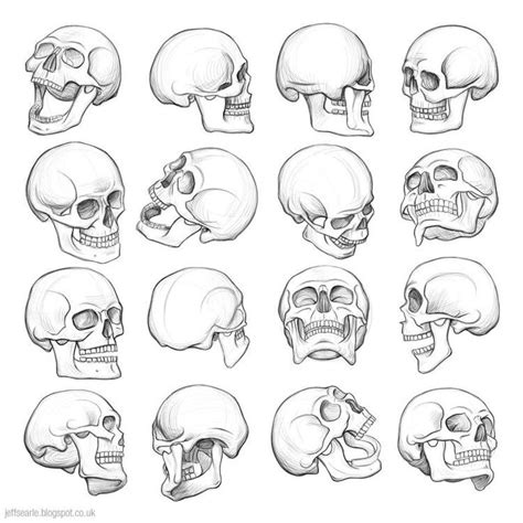 Skull Angle Reference Skulls Drawing Skull Drawing Anatomy Art