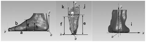 Running Track Dimensions In Feet