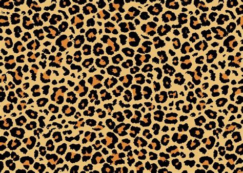 Leopard Print Leopard Print Background 4k Leopard Print Background