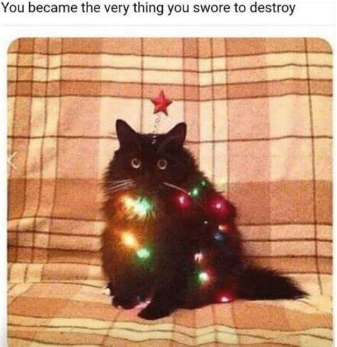 22 Hilariously Festive Christmas Tree Memes Ranging From Festive To