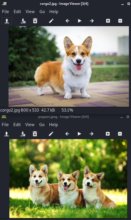 Anonymous Tryhackme Walkthrough