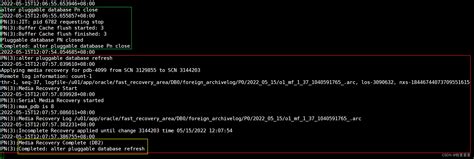 Oracle Pdb Csdn博客