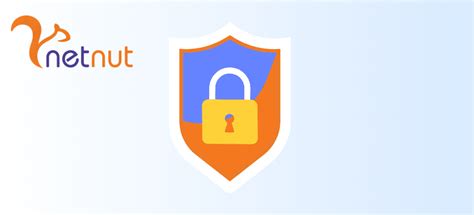 What Are Socks Proxy Complete Guide To Socks Proxy Netnut