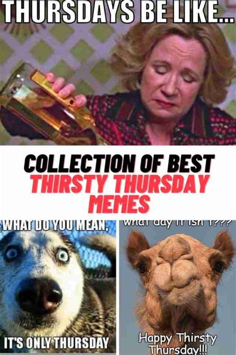 Collection Of Best Thirsty Thursday Memes 2023