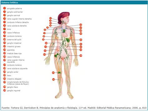 Pin En Beauty Belleza