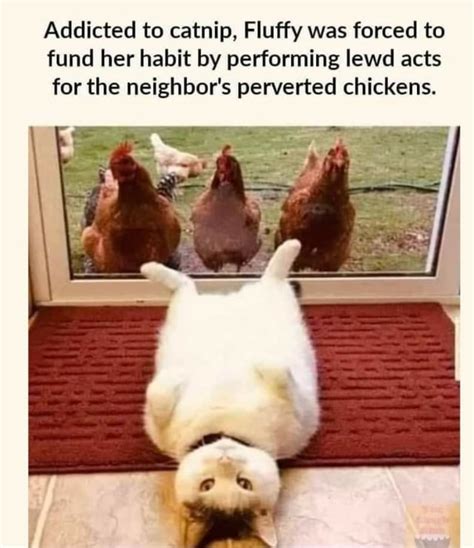 Addicted To Catnip Fluffy Was Forced To Fund Her Habit By Performing Lewd Acts For The Neighbor