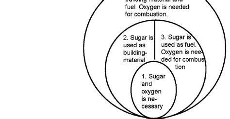 The Critical Aspects That Define The Four Categories Of Description
