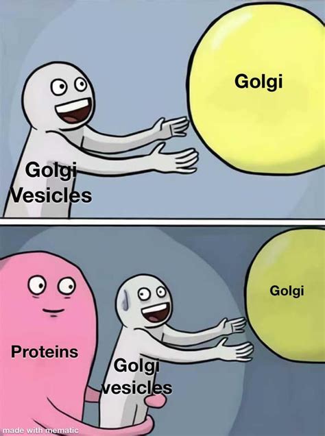 Always Science Is Right Uhh Rsciencememes