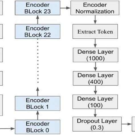 The Diagram Shows Vit 32 Model Architecture It Contains 24 Transformer Download Scientific