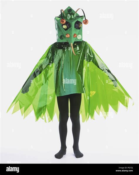 Diy Dragonfly Bug Costume