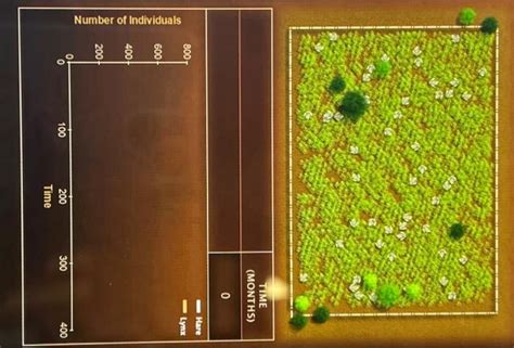 Solved For Reference The Lotka Volterra Predator Prey Model