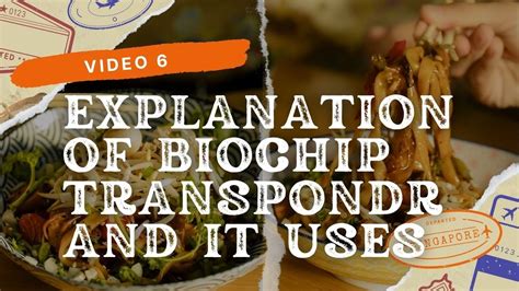 Explaining Biochip Transponder And Its Uses Vid 6 😁 Uses Youtube