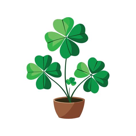 Elegant Oxalis Triangularis Illustration 57393504 Vector Art At Vecteezy