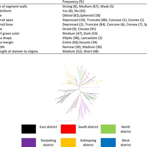 Frequency Distribution For The Measure Of Qualitative Characters In Download Scientific Diagram