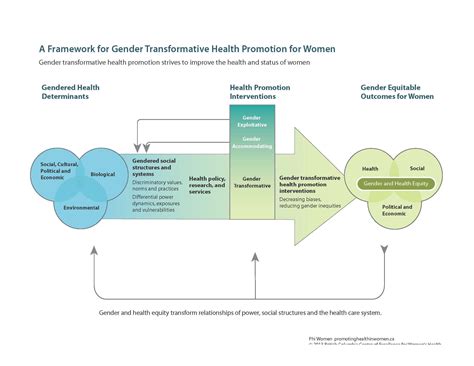 Framework For Gender Transformative Health Promotion Centre Of Excellence For Womens Health