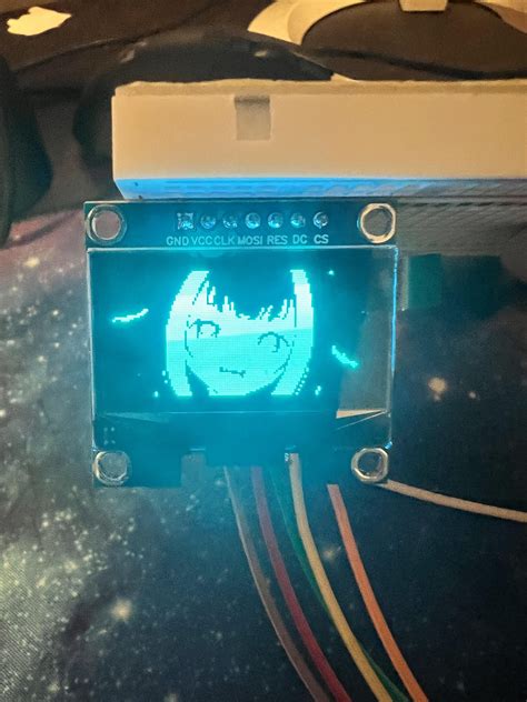 Lily On Da Oled R Shylily