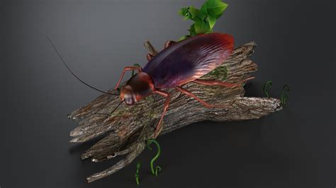 Gameready Cockroach Insect Roach Bug Beetle Pest Vermin 3d Model