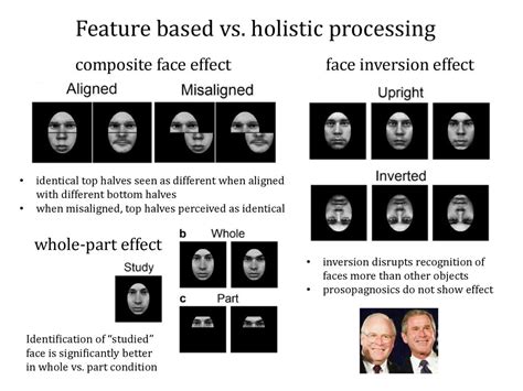 Feature Based Vs Holistic Processing Ppt Download