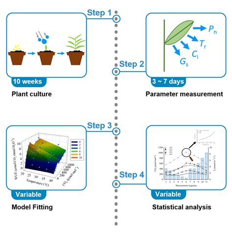 Cell Press Star Protocols