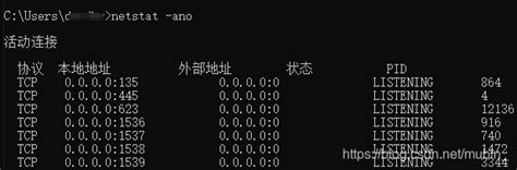 address already in use bind端口被占用的解决方法 csdn博客