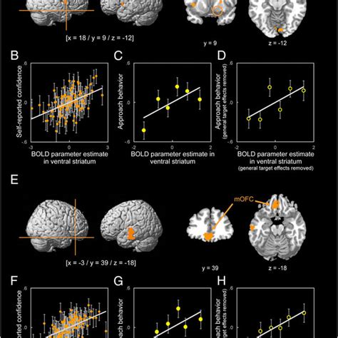 Pdf A Neural Link Between Affective Understanding And Interpersonal Attraction