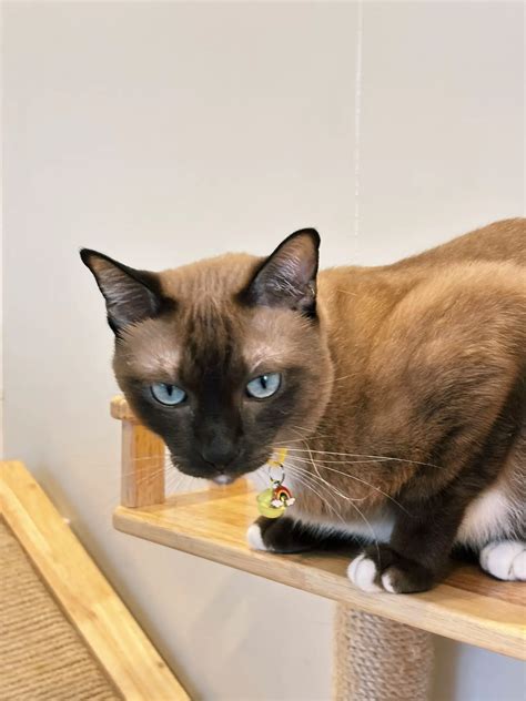 ร้านกาแฟ และคาเฟ่แมว ย่านพระราม9 สวนหลวง แกลเลอรีที่โพสต์โดย Everyday To Go Lemon8