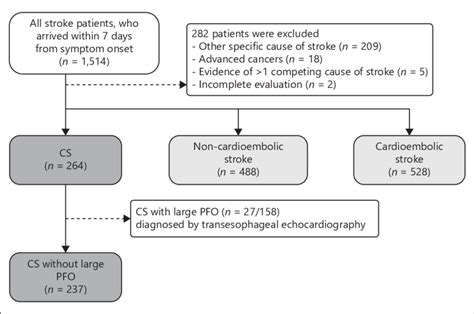 Flow Diagram Of The Study Population Cs Cryptogenic Stroke Pfo Flow Diagram Of The Study Population Cs Cryptogenic Stroke Pfo