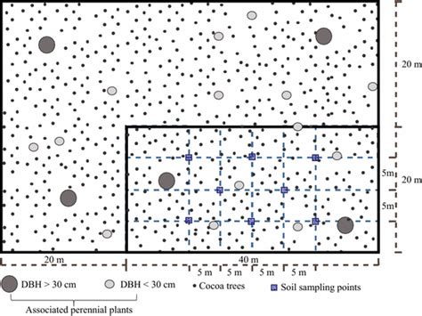 Experimental Setup Layout Of The Treatments And Data Sampling Design Download Scientific