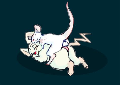 Post 4449012 Animaniacs Brain Clovenstep Pinky And The Brain Rule 63