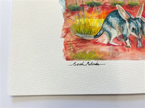 Bilby Knows The Place Mixed Media — Sarah Matsuda︱visual Artist