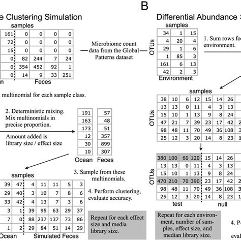 graphical summary of the two simulation frameworks both simulation a