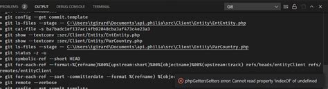 Phpgetterssetters Error Cannot Read Property Indexof Of Undefined · Issue 11 · Cvergne