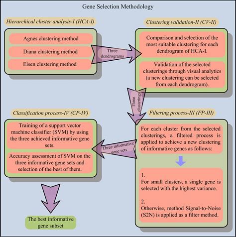 Steps Followed By The Gene Selection Approach There Are Four Stages