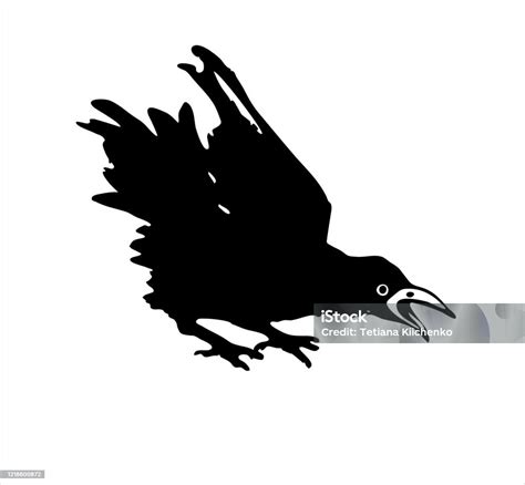 흰색 배경에 잉크로 묘사 된 검은 까마귀 벡터 새 까마귀 잭도우 까치의 이미지 신비주의 신비주의 샤머니즘 상징 마법 중국 스타일 동양 철새까마귀에 대한 스톡 벡터 아트 및
