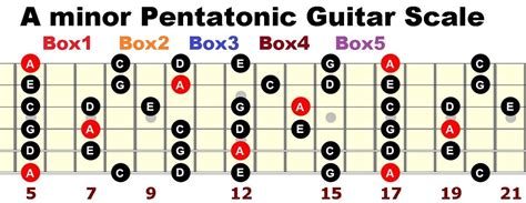 A Minor Pentatonic Guitar Scale Exercises Set 5 Etsy