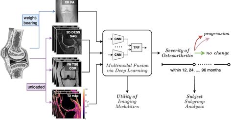 Github Imedslaboaprogressionmmf Prediction Of Knee Osteoarthritis