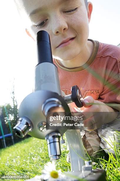 Microscope Grass Photos And Premium High Res Pictures Getty Images