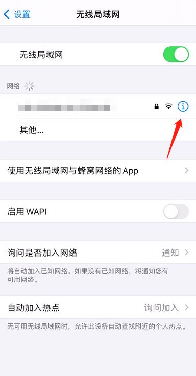 Ios设置代理服务器 豌豆代理 全国千万静态ip切换 大数据ip代理【官网网站】 Ios设置代理服务器 豌豆代理 全国千万静态ip切换 大数据ip代理【官网网站】