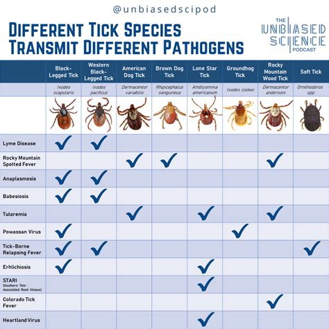 Pennsylvania Tick Species At Lillie Authement Blog