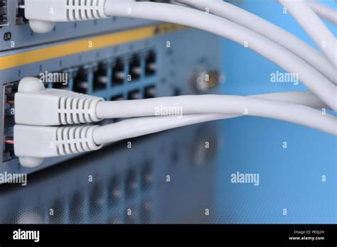 Network Patch Cord Cable RJ45 Connectors Stock Photo Alamy