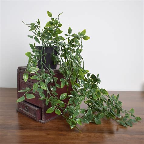 Planta Artificiala Curgatoare In Ghiveci Naimeed D4869 2 Verde