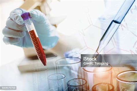 실험실 기술자 보조 떨어지는 액체 샘플을 테스트 튜브에 혈액 샘플을 분석 실험실에서 테스트 튜브 의료 제약 및 과학 연구 및 개발 개념 Stem 주제에 대한 스톡 사진 및