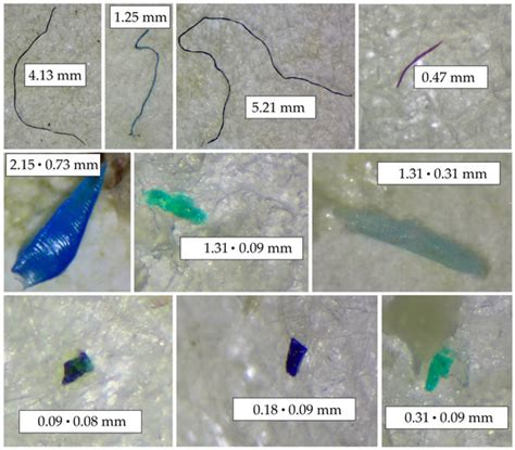 Animals Special Issue Microplastics And Nanoplastics In Animal