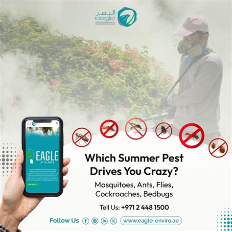 Eagle Environmental Services And Pest Control On Linkedin Summercontrol