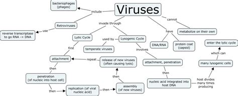Viruses