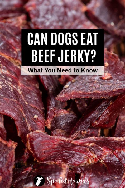 Can Dogs Eat Beef Jerky What You Need To Know