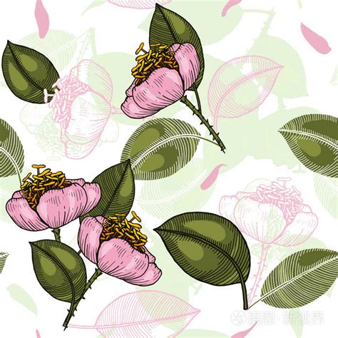 植物学主题分离的无缝花图案复古背景壁纸手绘矢量插图插画 正版商用图片08u7me 摄图新视界
